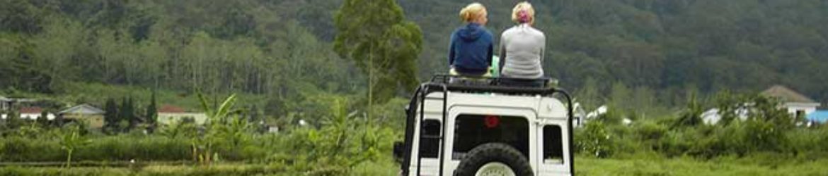 Isuzu ELF Microbus - Car Hire Company in Bali Island